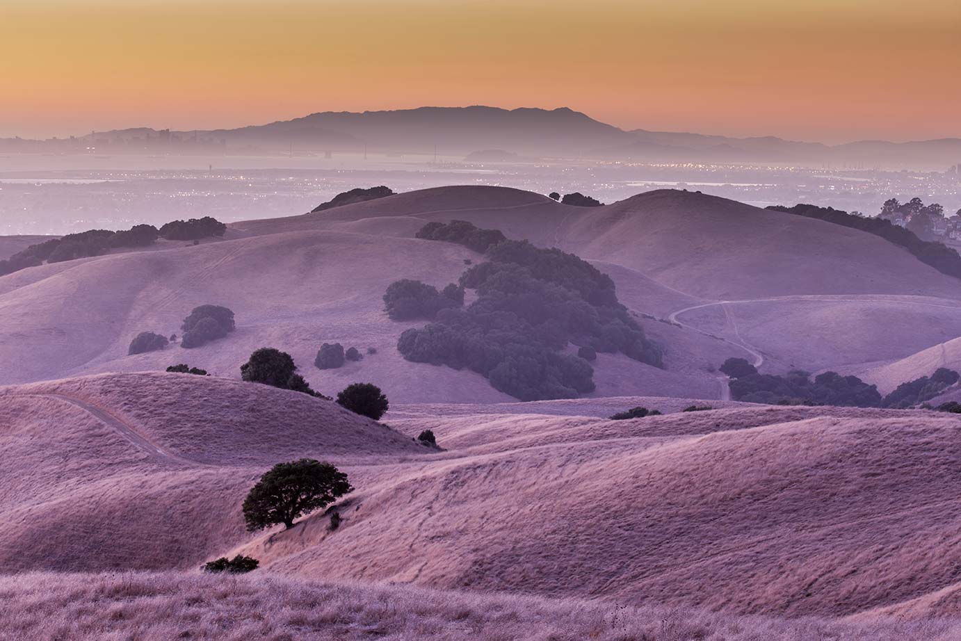 Alameda ⋆ BluePath Health